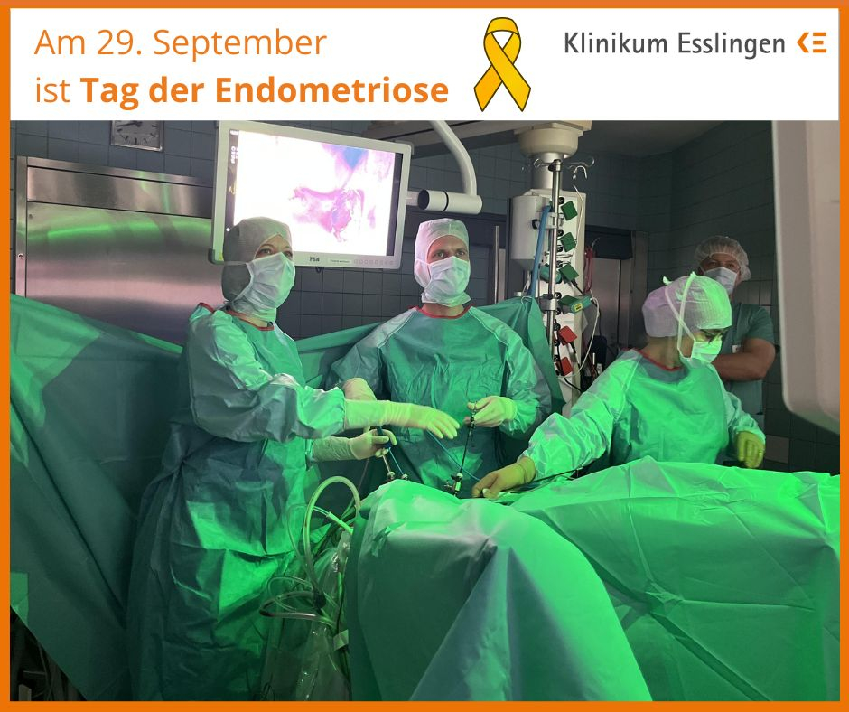 Am 29. September ist Tag der Endometriose | Klinikum Esslingen